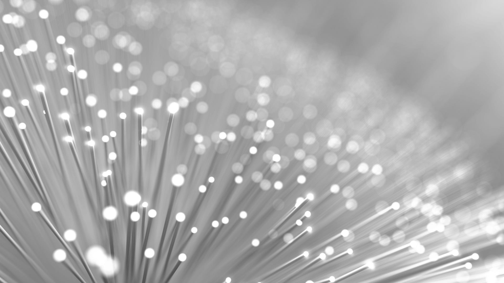 Brazilian Portuguese Translation Services | The Word Hub